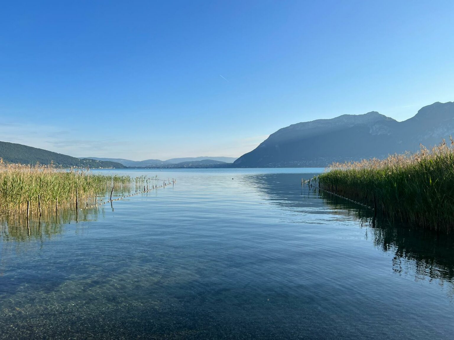 The campsite - Camping Le Solitaire du Lac